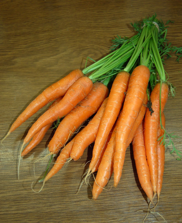 Kategorie:Karotte – Koch-Wiki