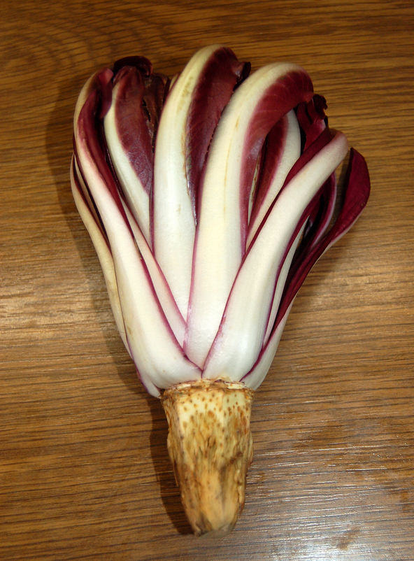 Zutat:Radicchio – Koch-Wiki