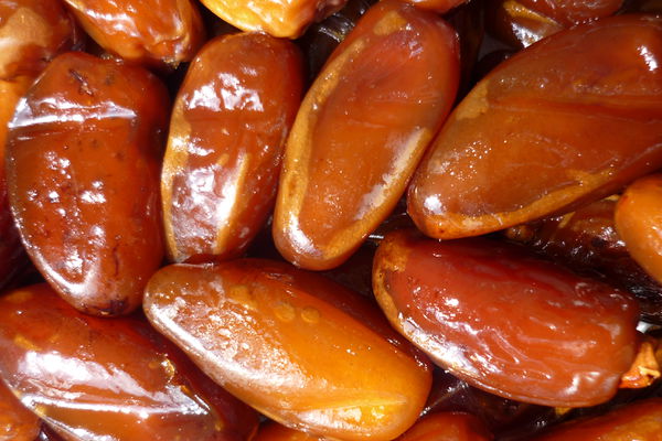 Zutat:Dattel – Koch-Wiki