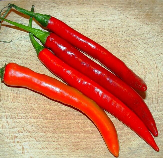 Zutat:Peperoni – Koch-Wiki