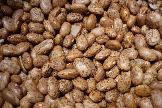 Kategorie:Bohnensorten – Koch-Wiki