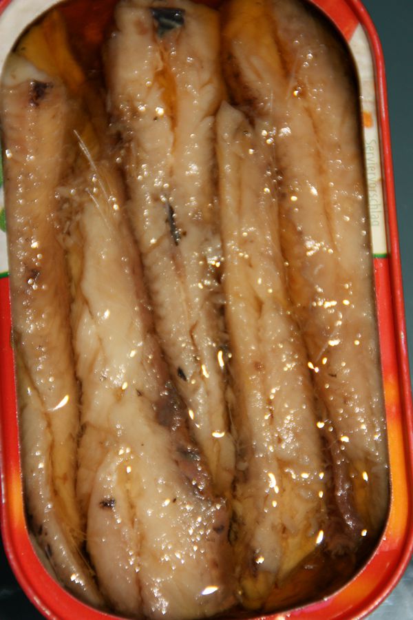 Zutat:Makrele – Koch-Wiki