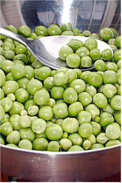 Kategorie:Erbsensorten – Koch-Wiki